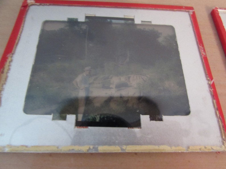 Antique Photography Glass Negatives Vintage Glass Negatives - Etsy