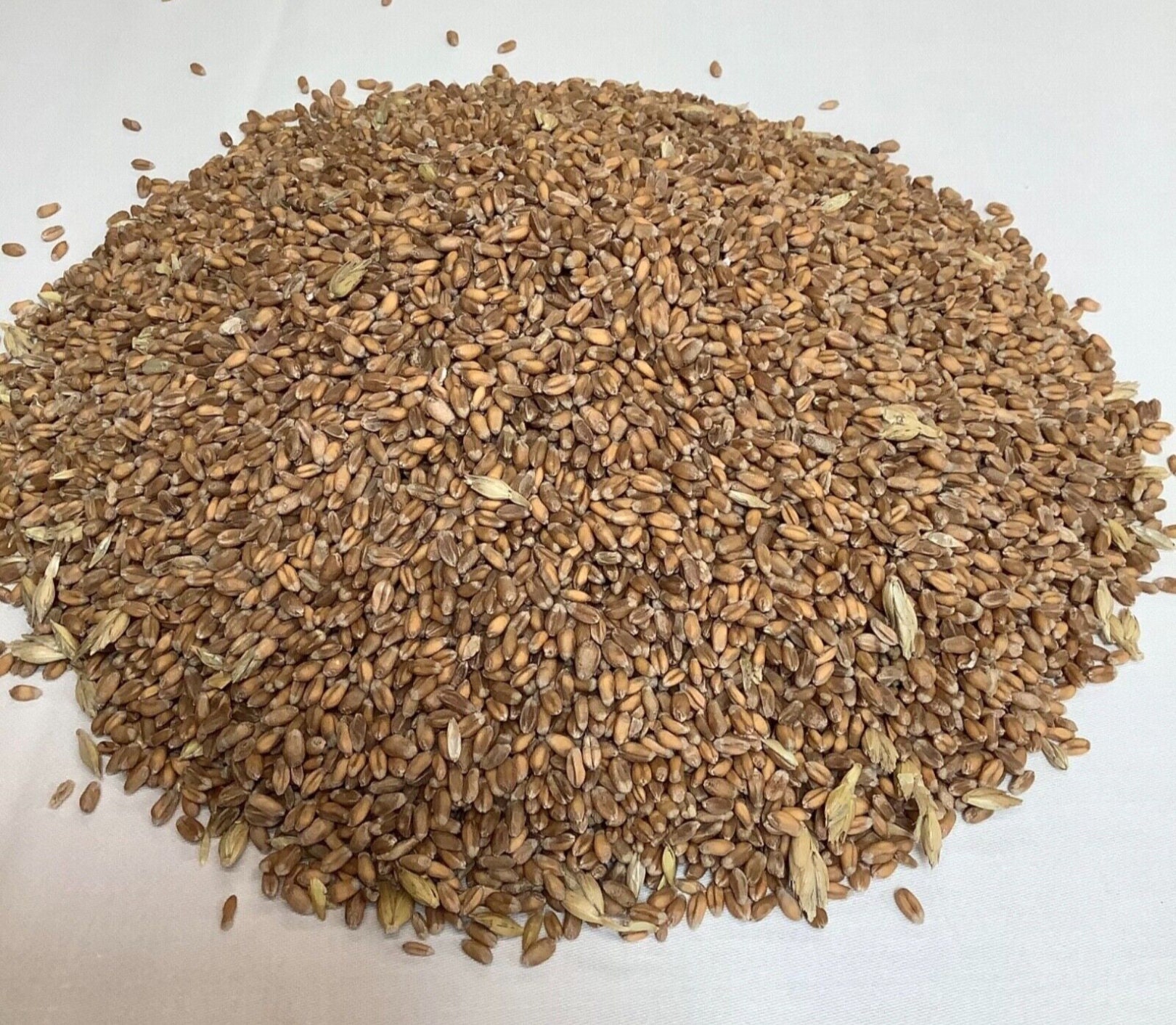 British Whole Wheat Grain.for Doorstop Filling/weighting,heat/microwave ...