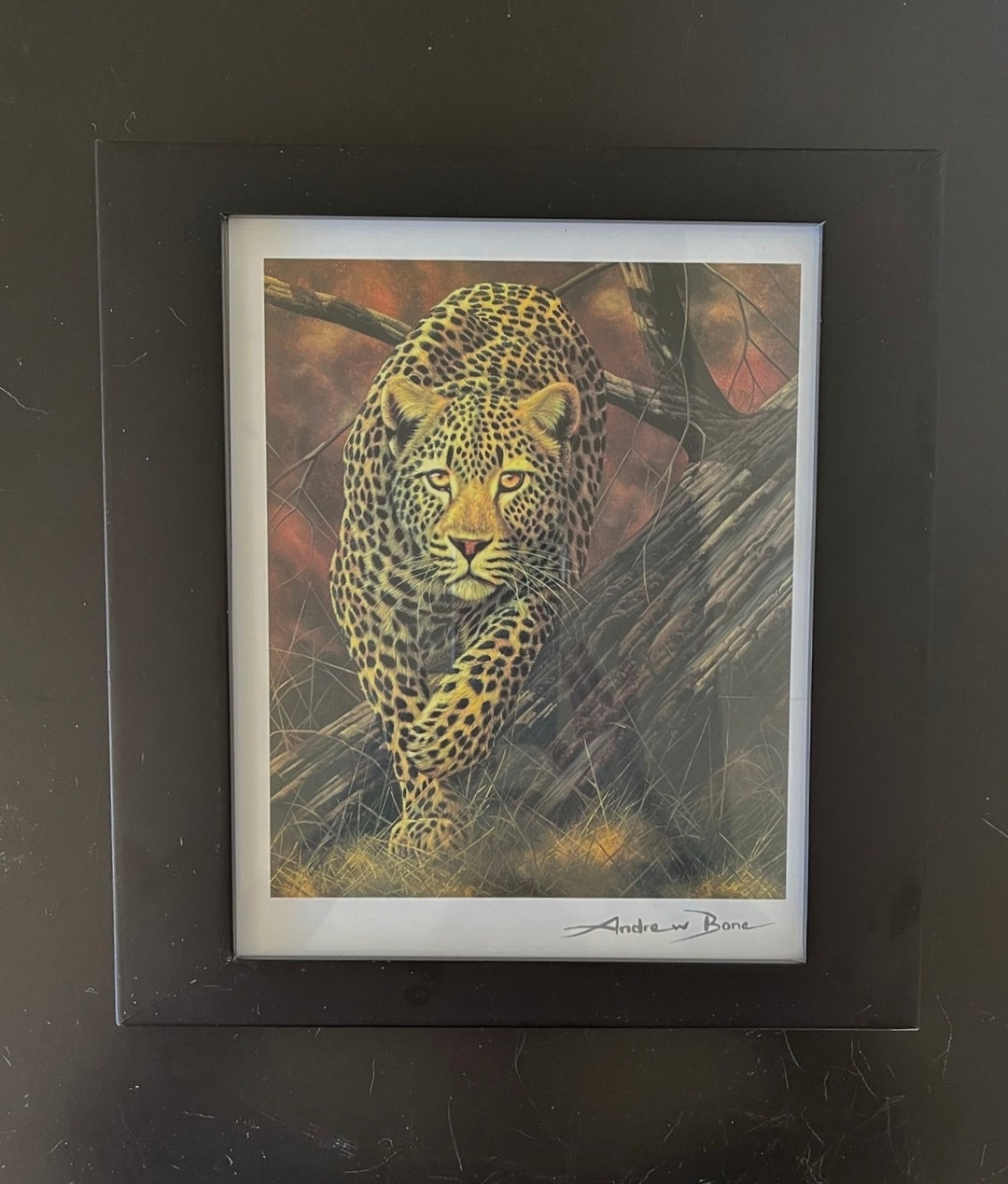 Signed Art Framed Andrew Bone Silent Stalker Leopard Lithography Park ...