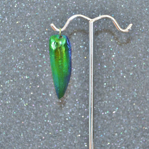 Beetle Wing Jewelry - Etsy