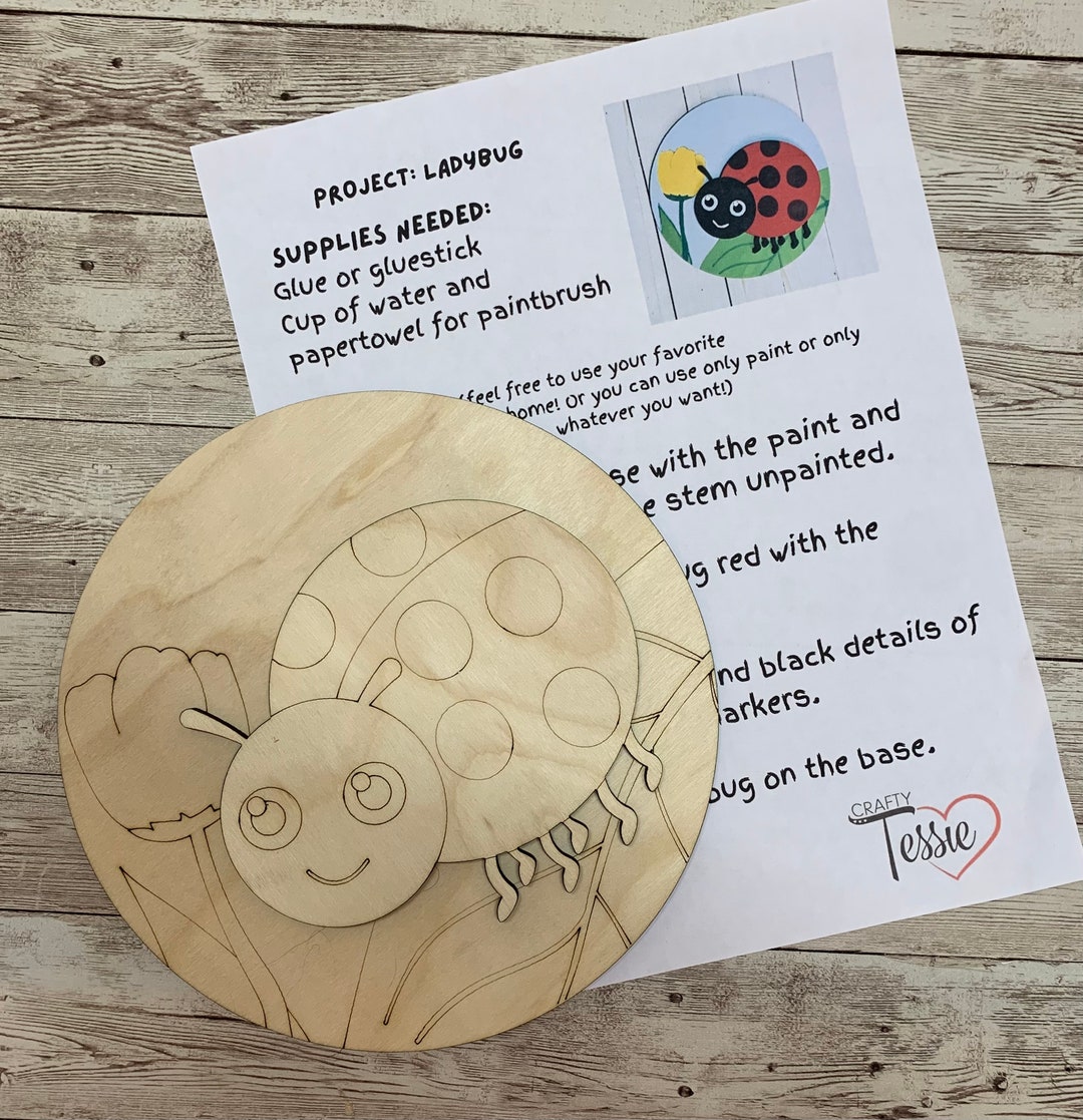 Kids Paint Kit Lady Bug Paint Kit DIY Summer Fun Paint Kit - Etsy