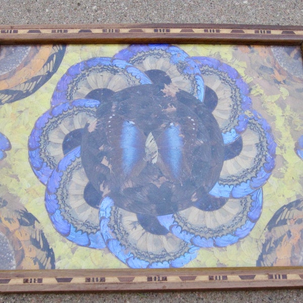 Butterfly Wing Tray - Etsy