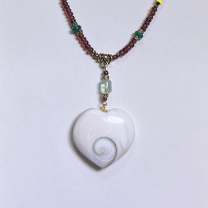 Eye of Shiva Shell - Etsy