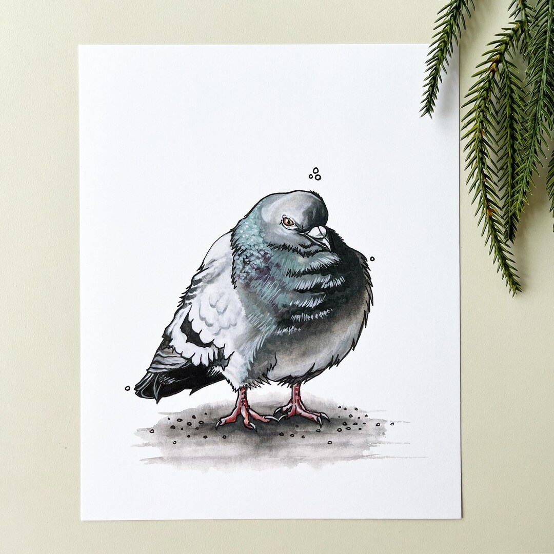 Pigeon Print, 8"x10" Art Print, Watercolour, Kelly Dixon Art - Etsy