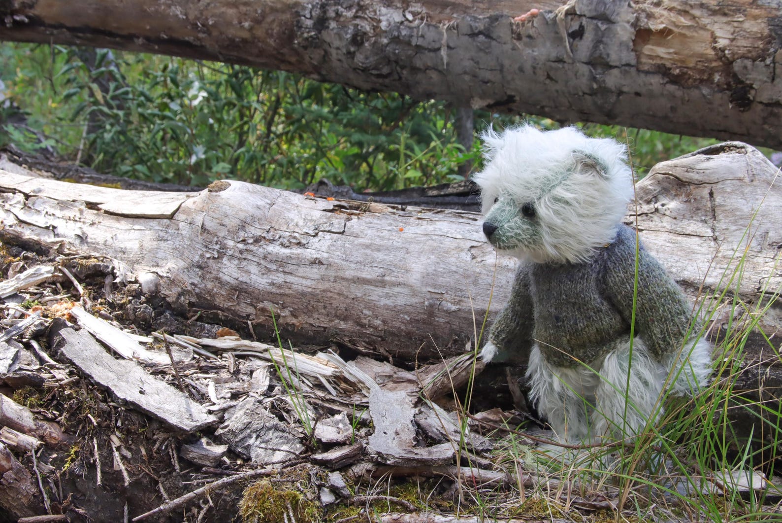 Handmade Collectible Teddy Bear Dannie - Etsy