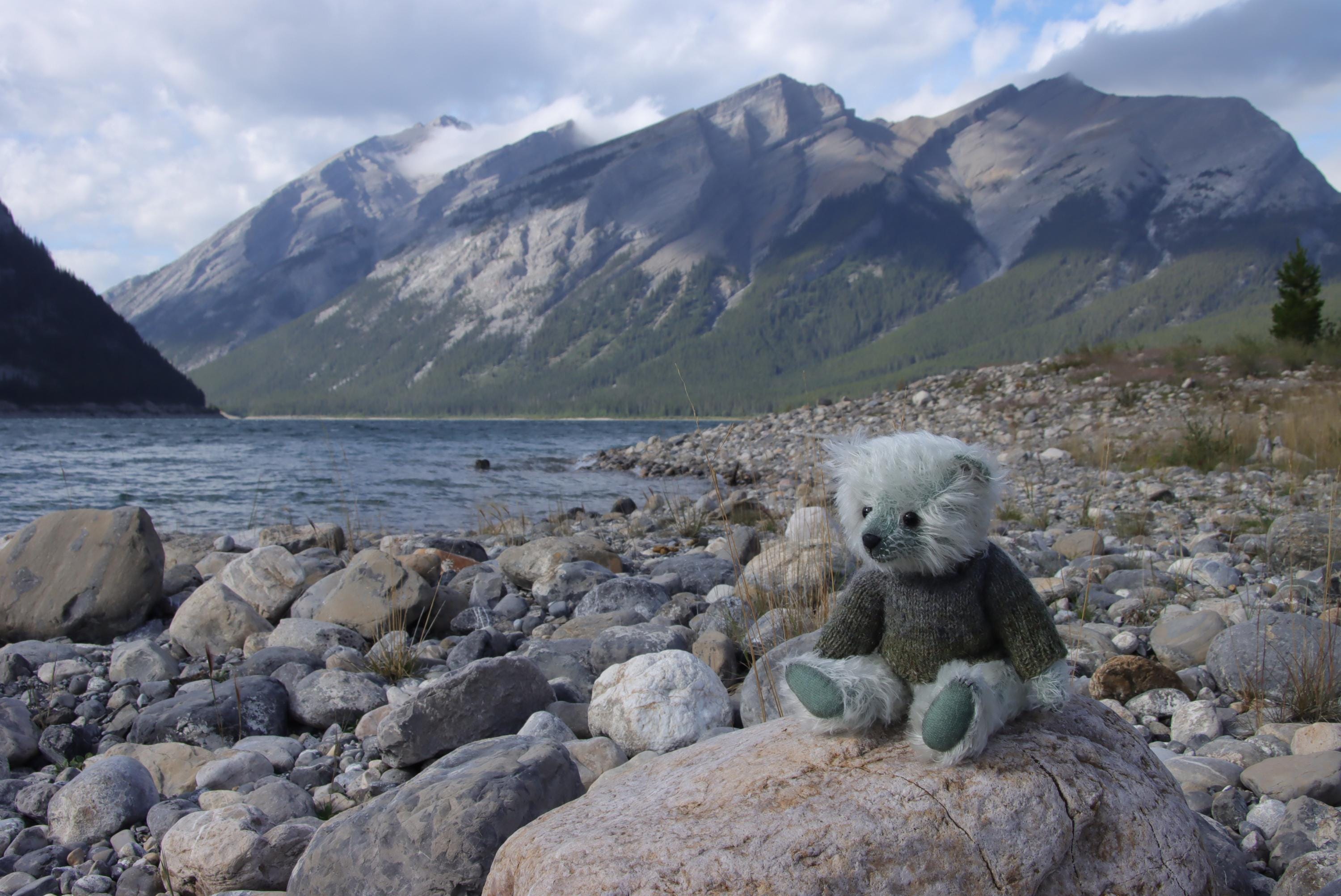 Handmade Collectible Teddy Bear Dannie - Etsy