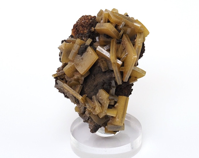 Wulfenite Crystals on Matrix From Ojuela Mine, Mapimi, Mexico - 35mm X ...