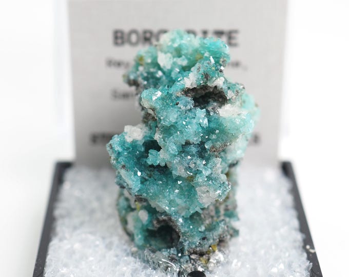 Borcarite Mexico Thumbnail Mineral Specimen Perky Box - Etsy