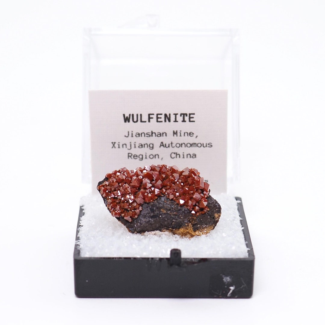 Wulfenite Crystals on Matrix From Jianshan Mine, China Thumbnail ...