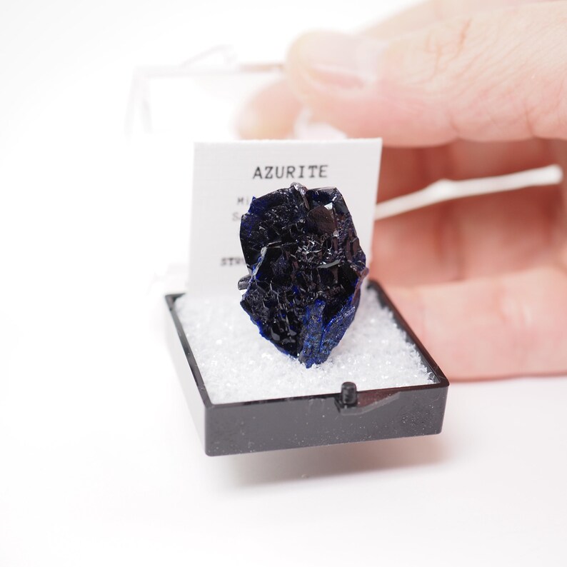 Azurite Crystal Milpillas Mine, Mexico Thumbnail Mineral Specimen Perky ...