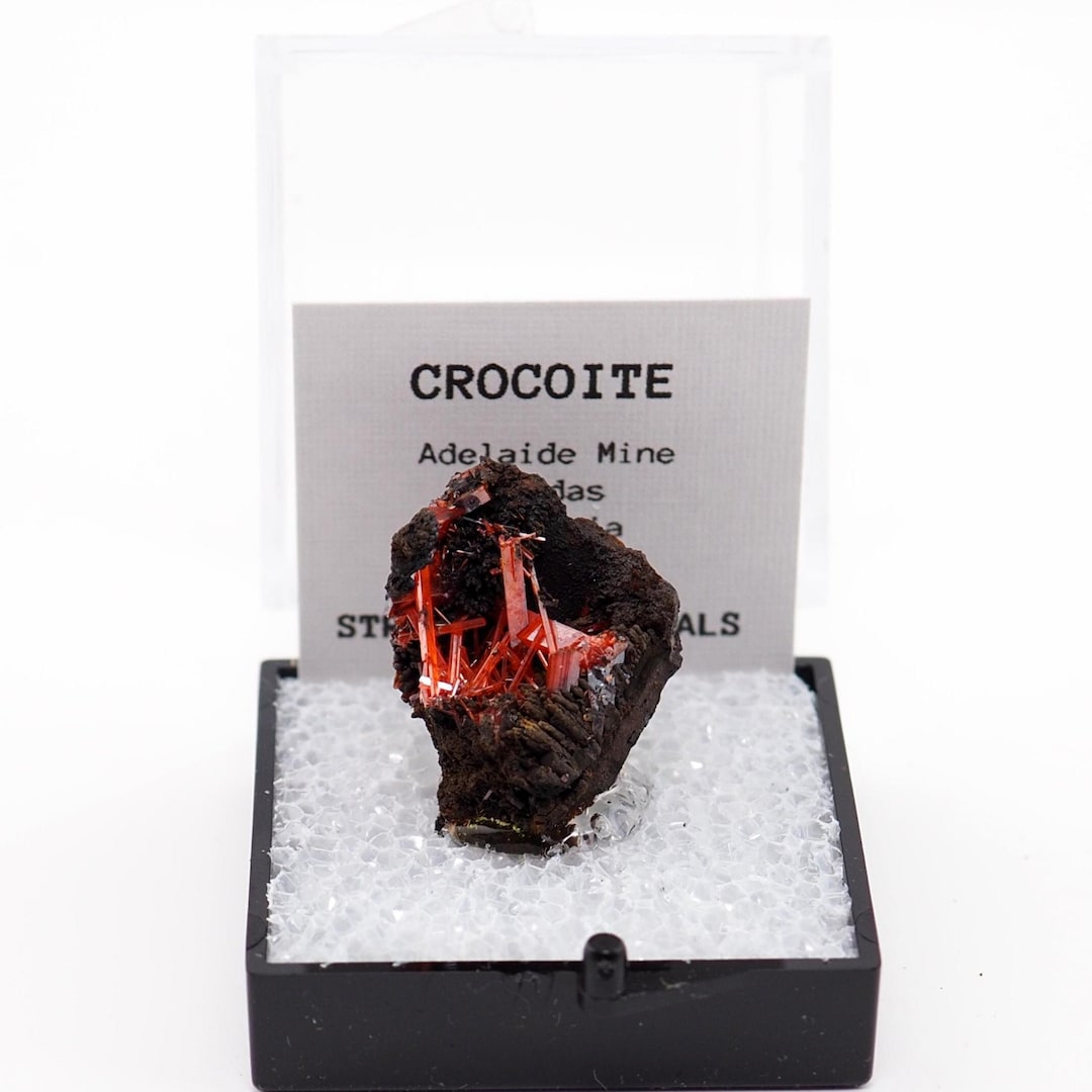 Crocoite Crystal Thumbnail Mineral Specimen Perky Box Natural Stone ...