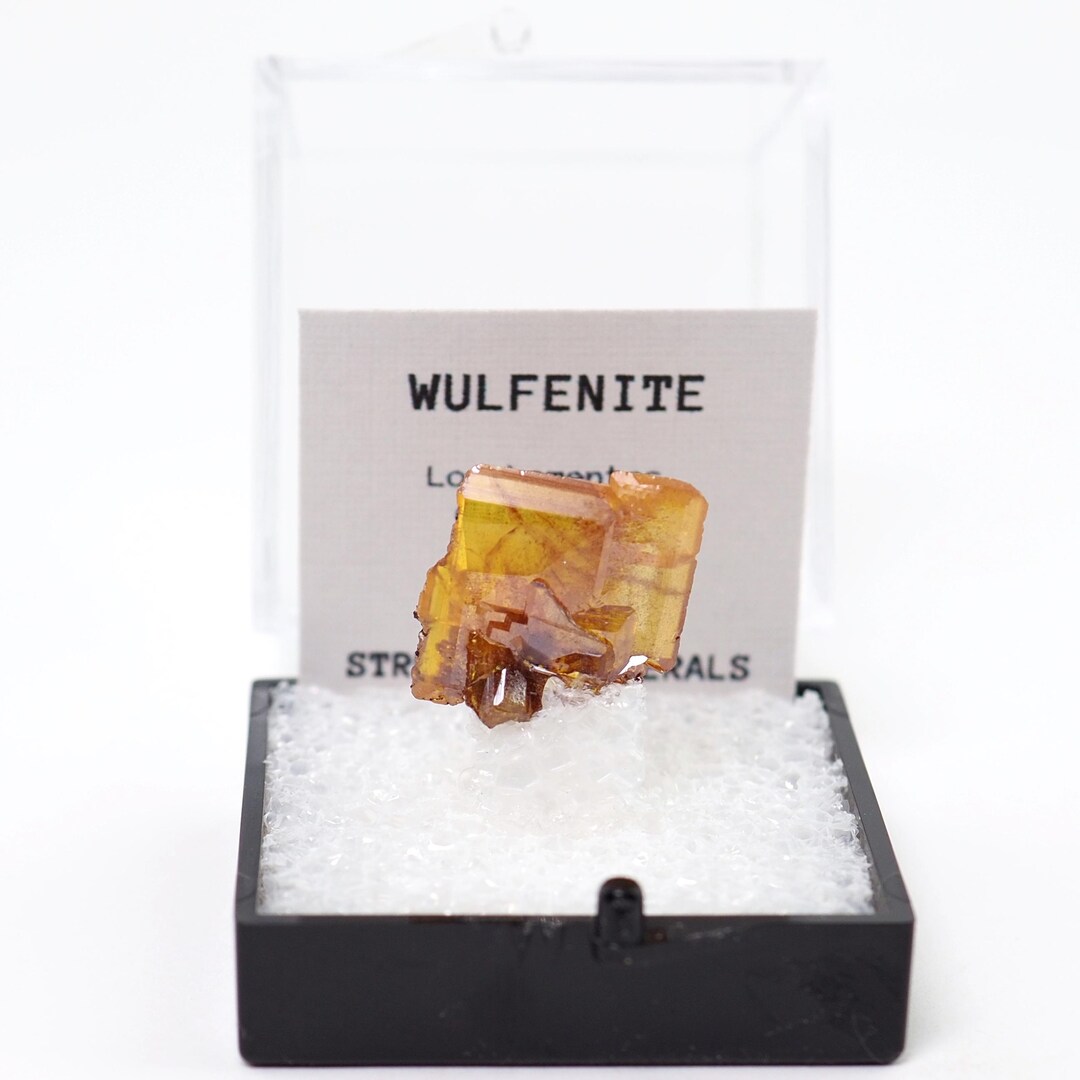 Wulfenite Crystal Los Lamentos, Mexico - Perky Box Mineral Specimen ...