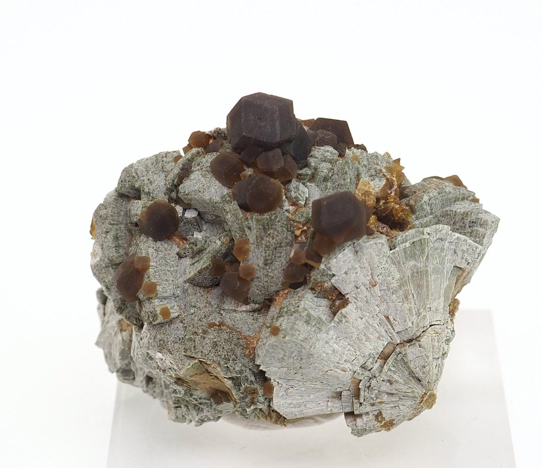Andradite Garnet Crystals on Matrix From Stanley Butte, Arizona, USA ...