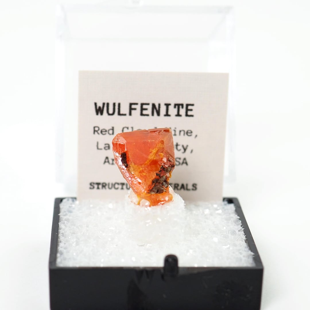 Wulfenite Crystal Specimen: Red Cloud Mine, Arizona - Perky Box Mineral ...