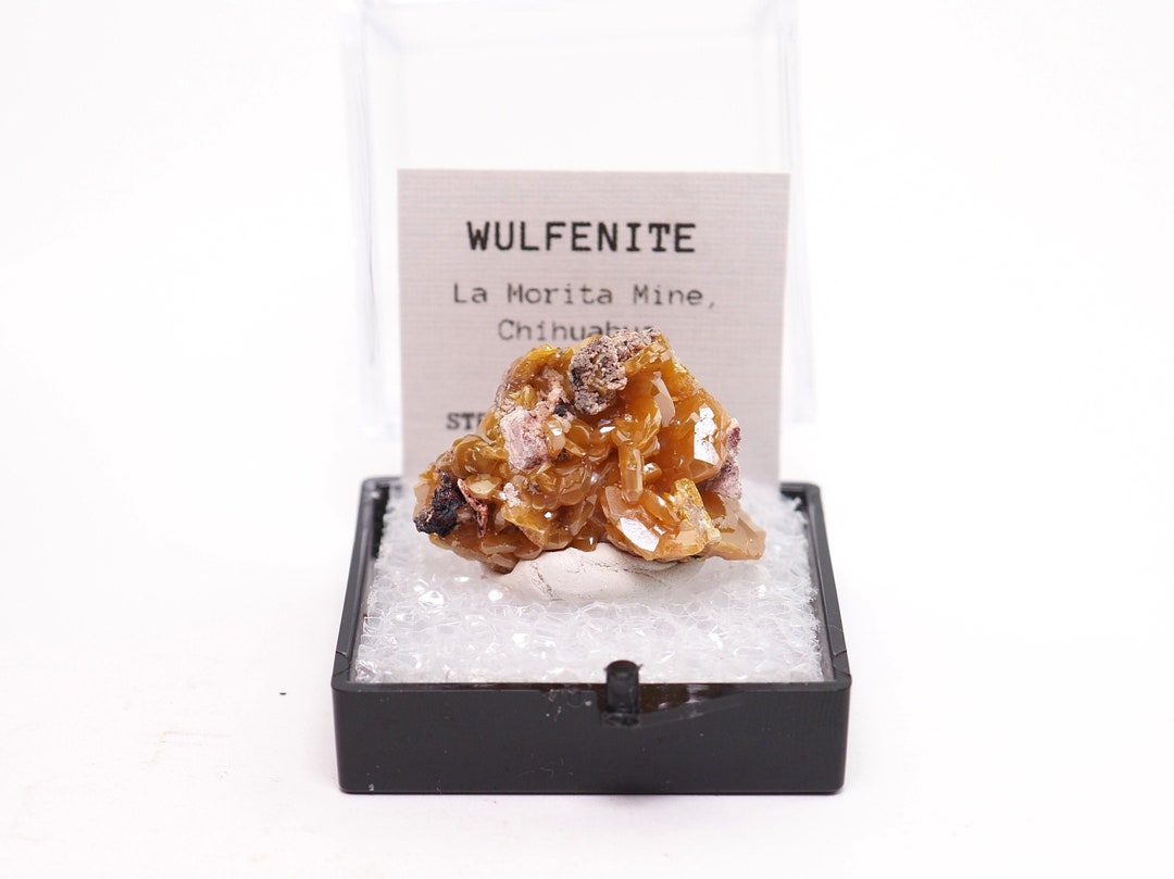Wulfenite Crystal Stone Specimen La Morita Mine. Mexico Thumbnail ...