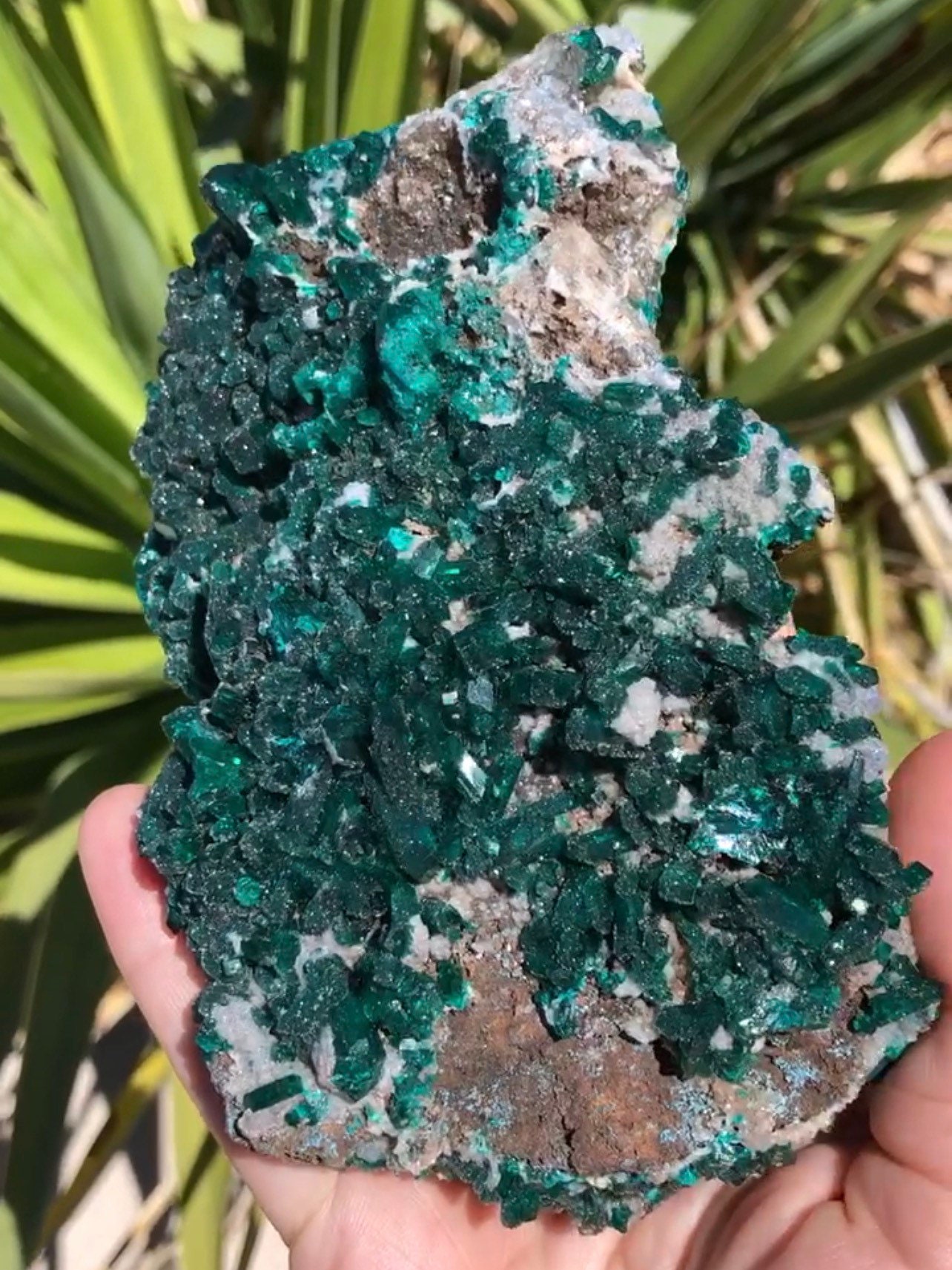 Quartz on Dioptase Mineral Specimen Natural Crystal - Etsy