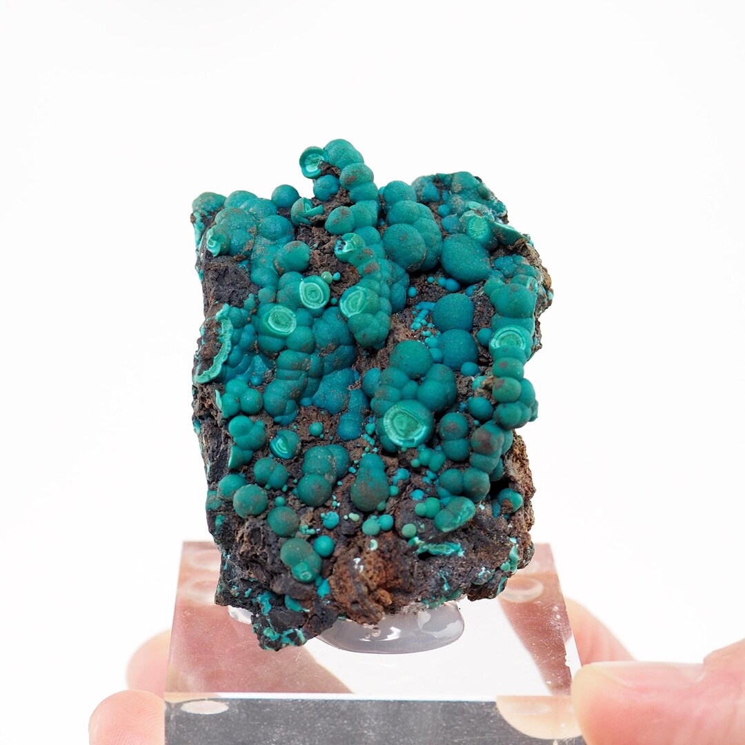 Chrysocolla Planet Mine, Arizona Mineral Specimen - Etsy