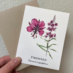 Fireweed Greeting Card, Willowherb Wildflower Notecard, Floral ...
