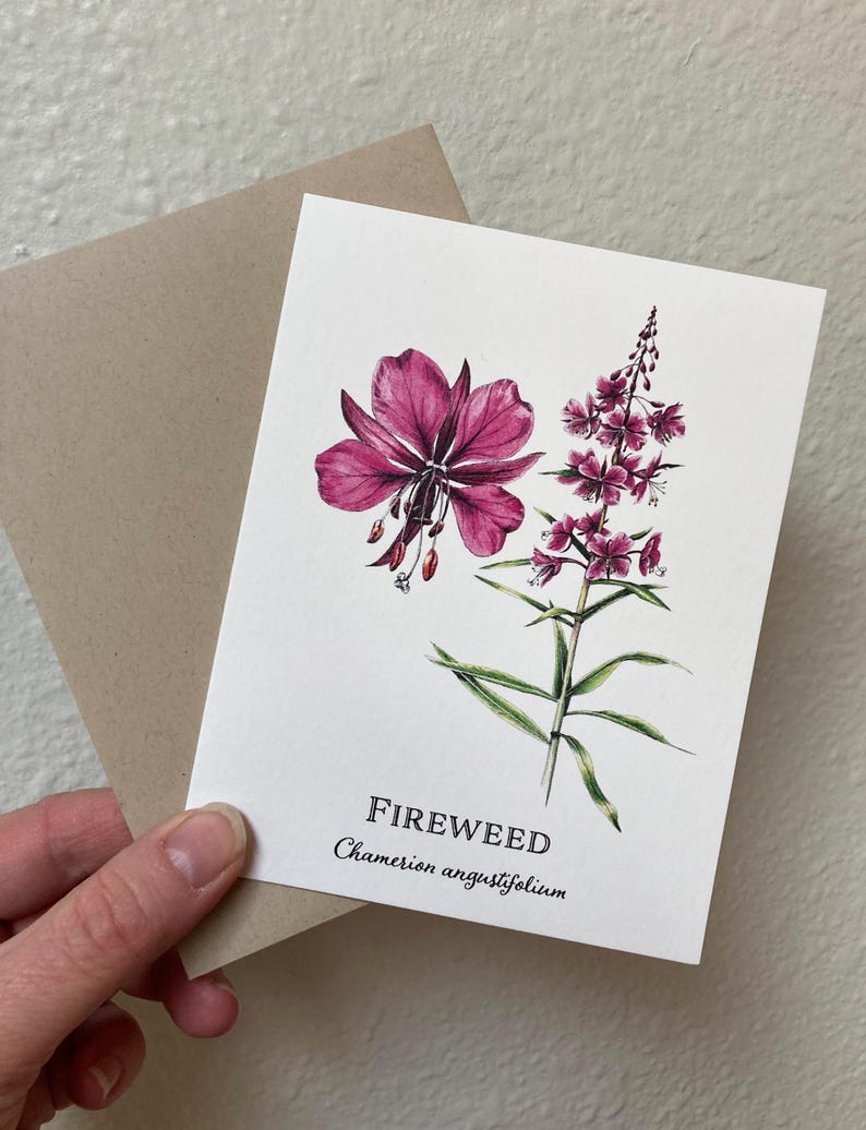 Fireweed Greeting Card, Willowherb Wildflower Notecard, Floral ...