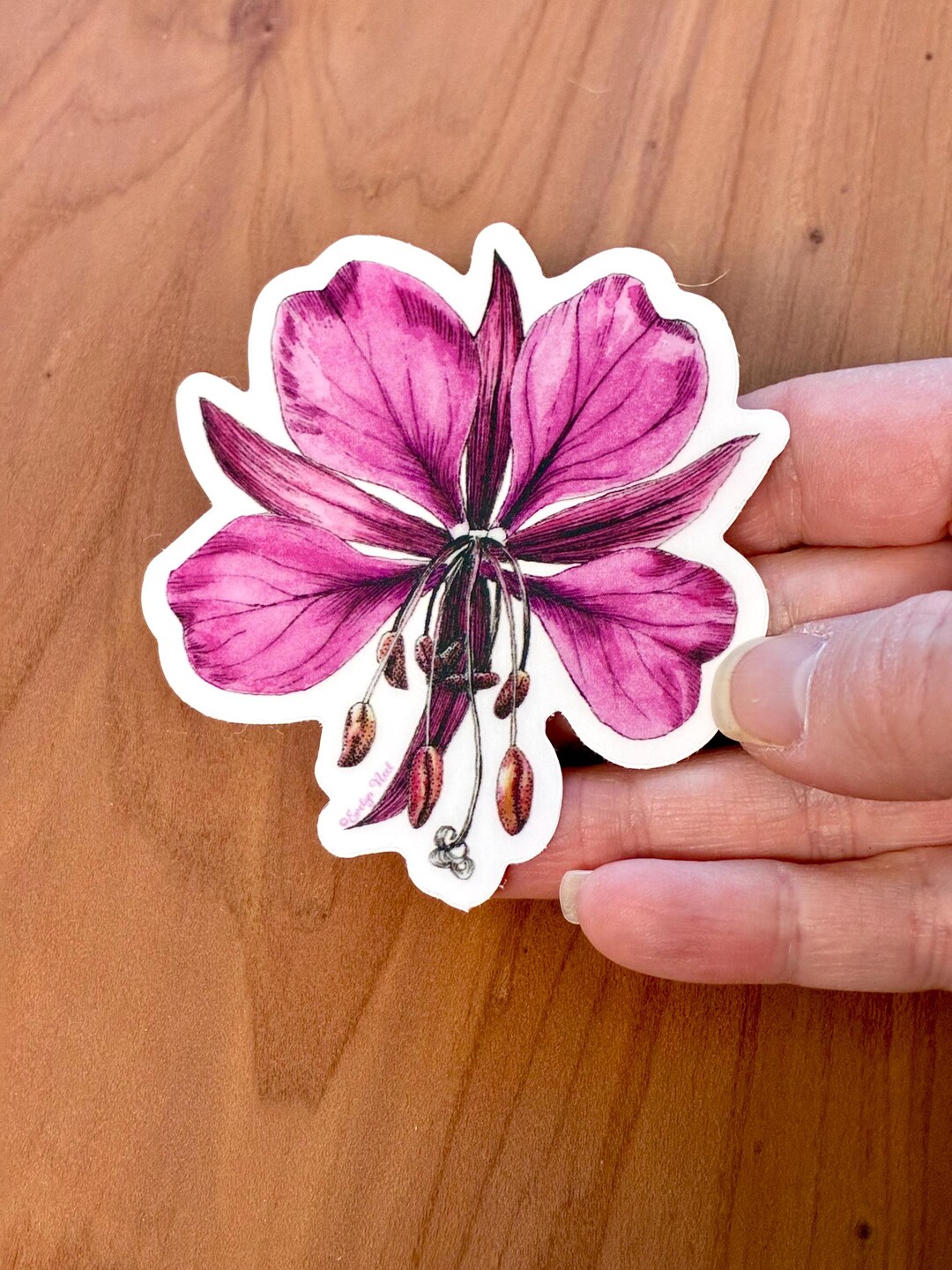 Fireweed Single Flower Sticker, Hand-drawn Wildflower, Clear Vinyl ...
