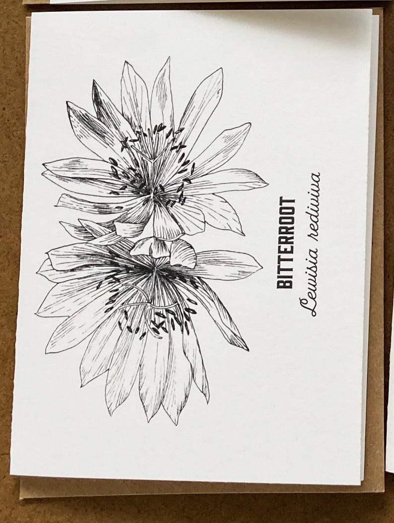 Watercolor Greeting Card Kit - Small 1 Wildflower Card - Etsy