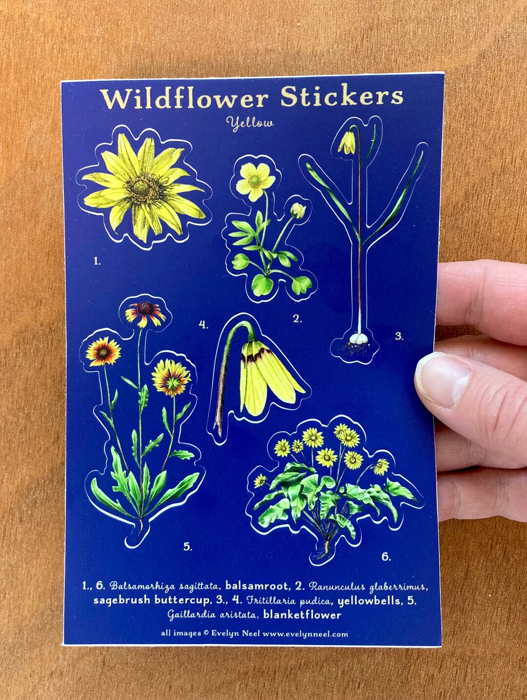 Wildflower Sticker Sheet - Yellow Flowers - Etsy