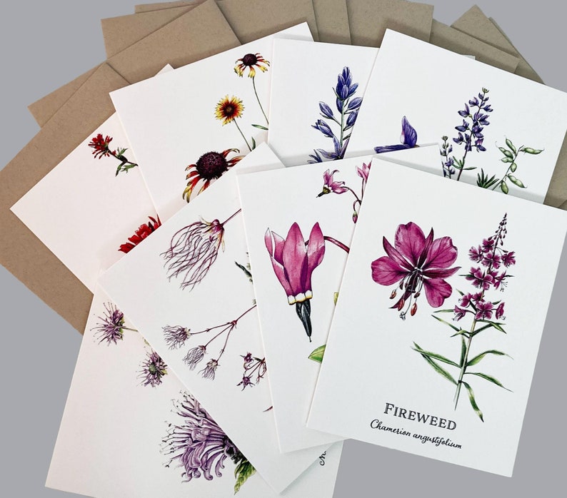Rocky Mountain Wildflower Card Pack - Pack of 8 Greeting Cards - Etsy