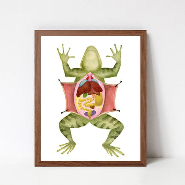 Dissection Art - Etsy