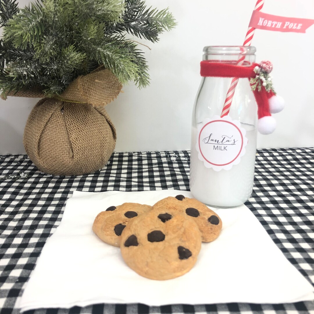 Fake Milk and Cookies Set for Santa, Fake Christmas Cookies, Fake Food ...