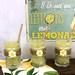 Fake Lemonade, Faux Lemonade Drink, Lemonade Decor, Lemon Decor. Fake ...