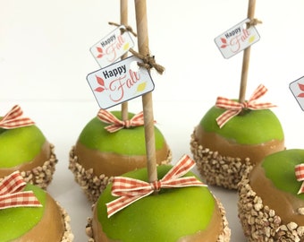 Apple Photo Prop - Etsy