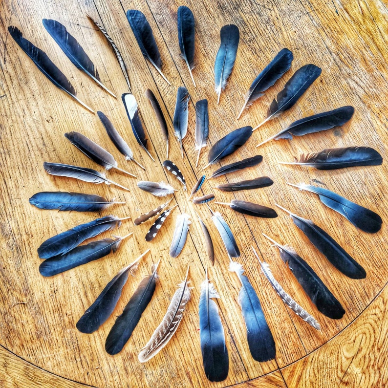 Hand Painted Feather Art Commission, Custom Design to Order. Feather ...