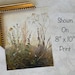 Elegant Gold Beaded Picture Frame- Classic Design- Custom Sizes- 24x36 ...