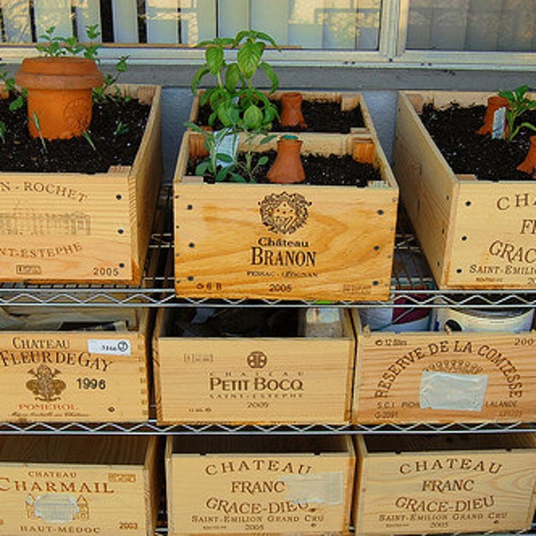 Wine Bottle Planter - Etsy