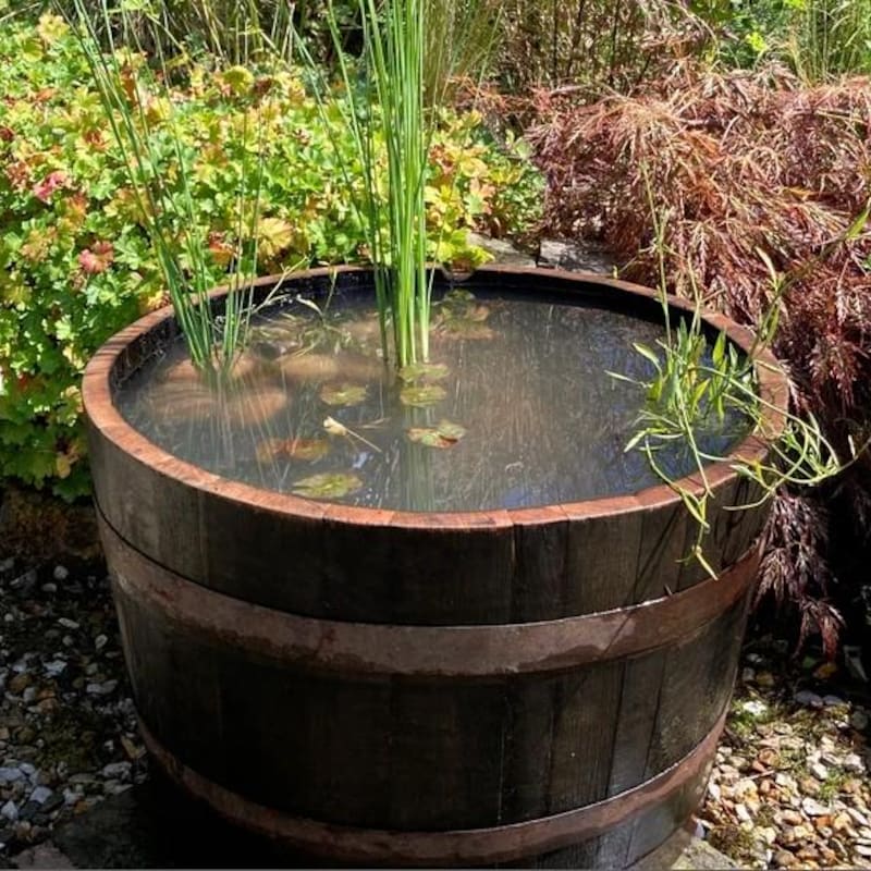 Ponds Large - Etsy UK