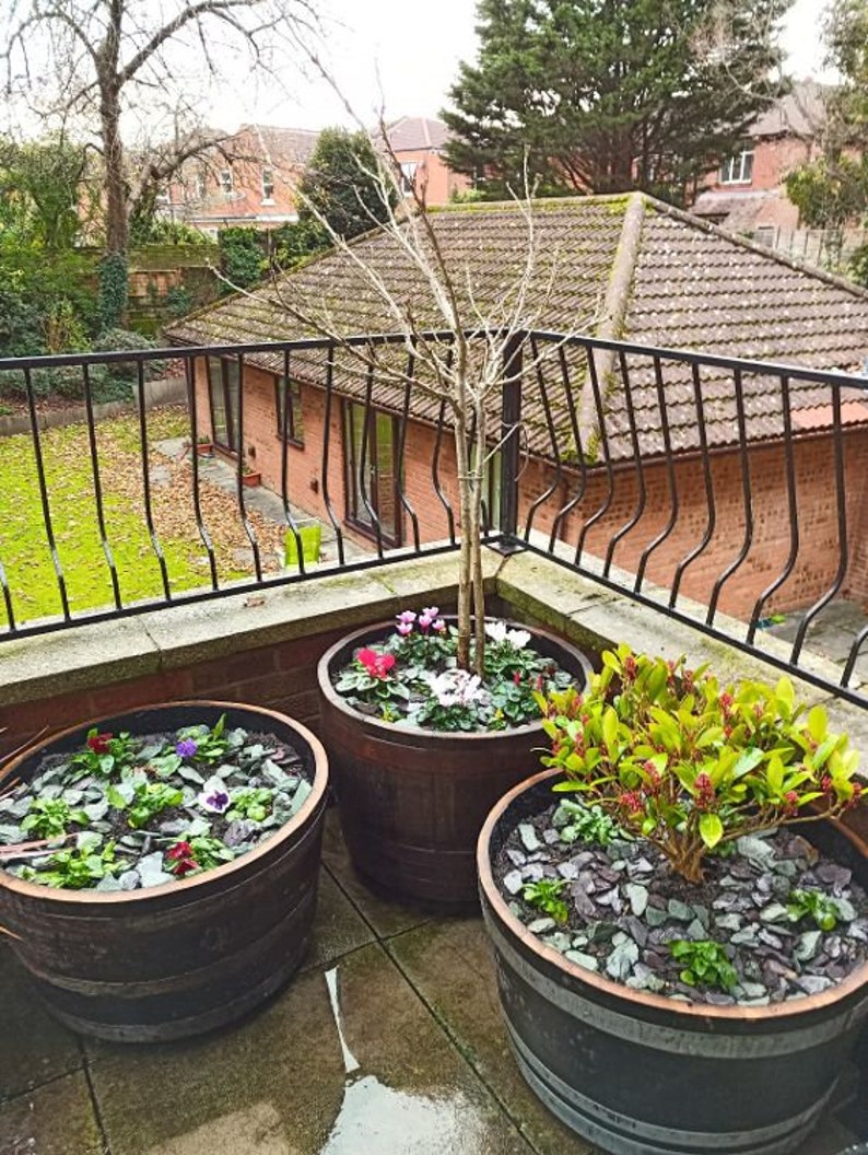 WINE OAK BARREL Planter Pot - Half Cut Wooden Keg Barrels Ideal for the ...