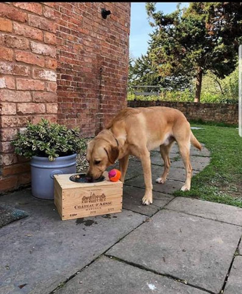 Reclaimed wooden wine box PET FEEDER BOWL / Station for dogs & | Etsy