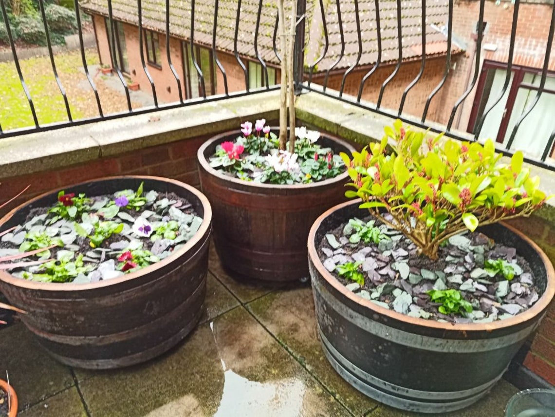 Wine OAK BARREL Planter Pot - Half Cut Wooden Keg Barrels Ideal for the ...