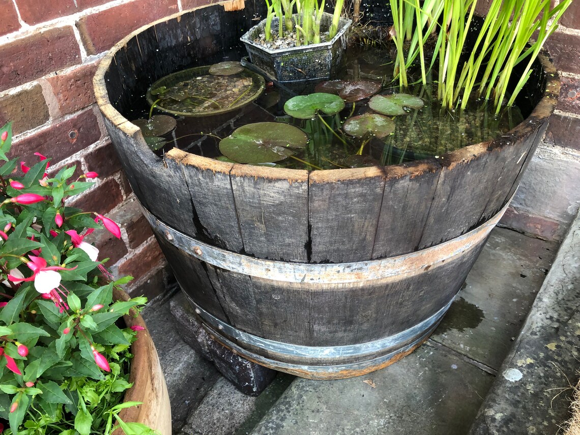 Wine OAK BARREL Planter Pot - Half Cut Wooden Keg Barrels Ideal for the ...
