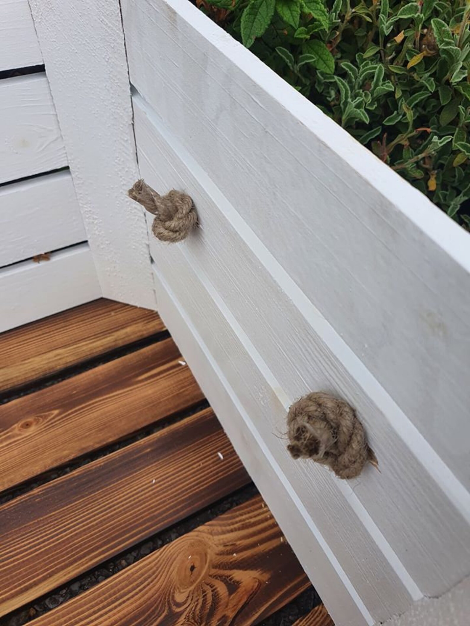 WHITE & BURNT WOOD Log Crate / Fire Wood Kindling Log Store / | Etsy