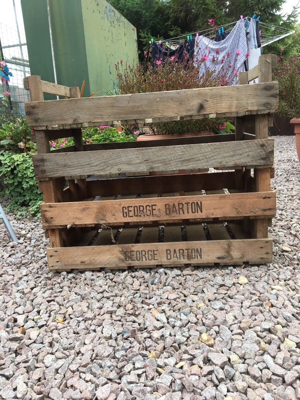 6 x CHITTING VEGETABLE TRAYS Vintage Antique Rustic Wood | Etsy