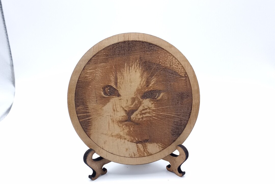 Disc Golf Mini Marker With an Angry Cat Design - Etsy