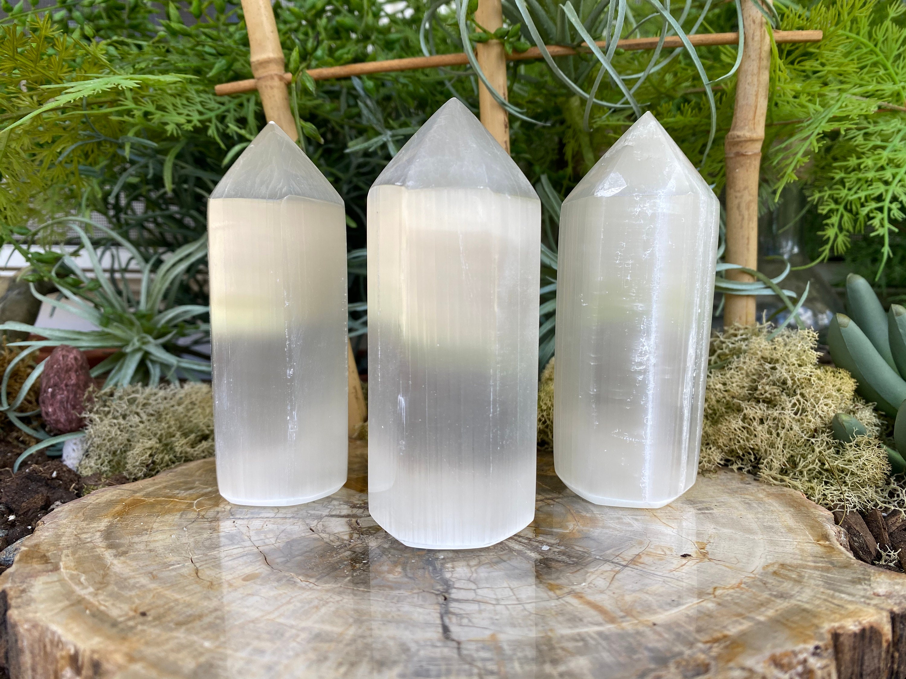 4 Selenite Point One 1 White Selenite Crystal Generator | Etsy