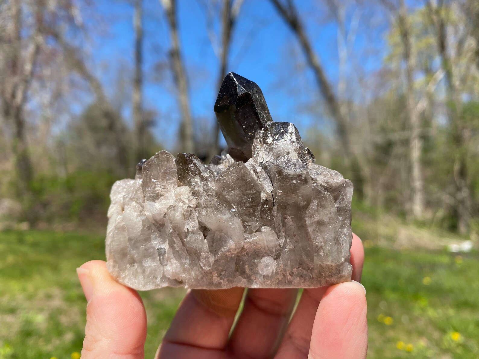 Smokey Quartz Cluster - Natural Smokey Quartz Specimen - Etsy