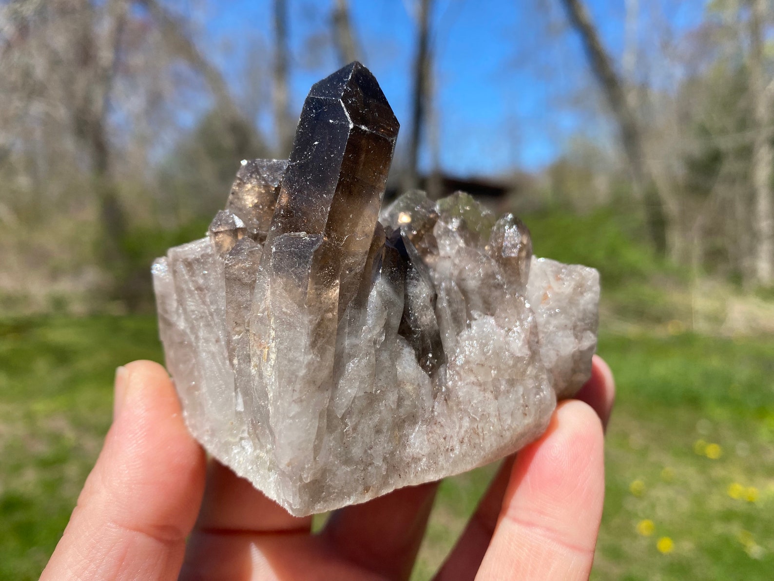 Smokey Quartz Cluster - Natural Smokey Quartz Specimen - Etsy