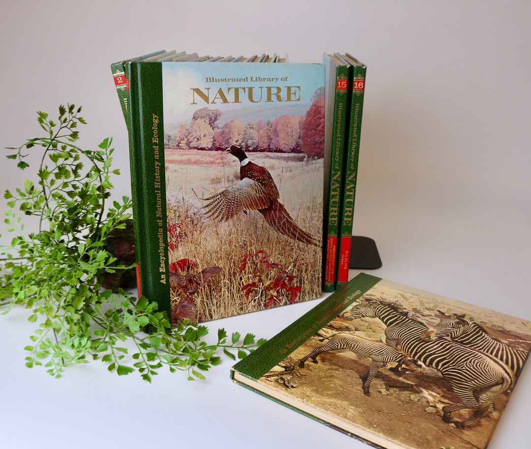 Vintage Complete Set of Nature Books, 1971 Illustrated Library of ...