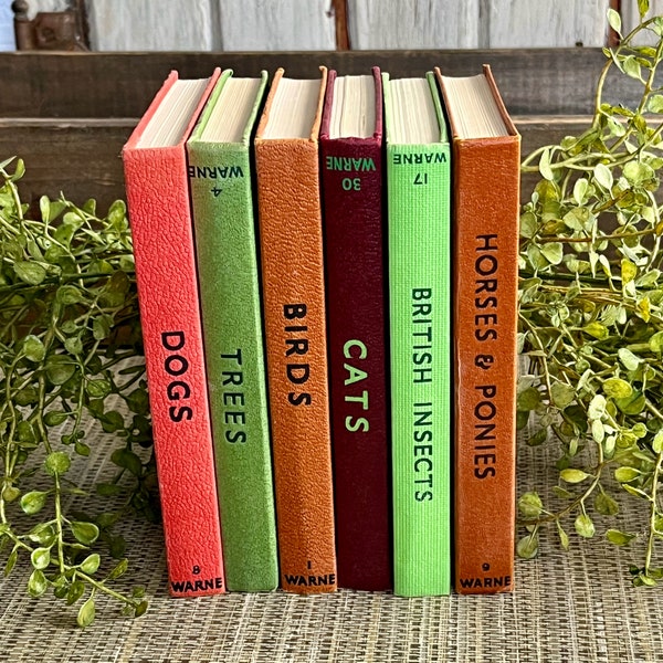 Pocket Books - Etsy