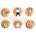 Safari Animal Hand Painted Wood Knobs Pulls Nursery Decor - Lion ...