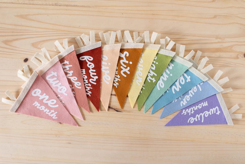 Pennant Flag Felt Monthly Milestone Markers | Newborn Baby Shower Gift ...