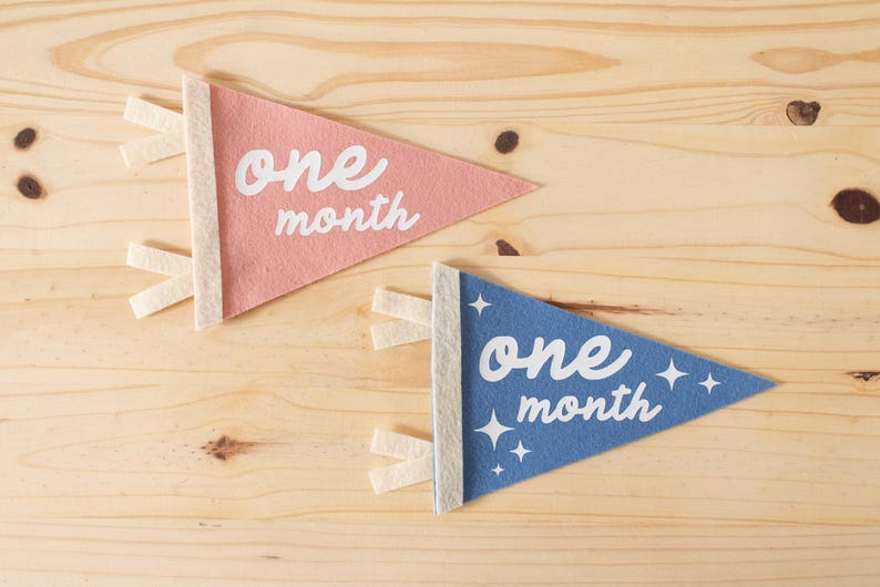Pennant Flag Felt Monthly Milestone Markers | Newborn Baby Shower Gift ...
